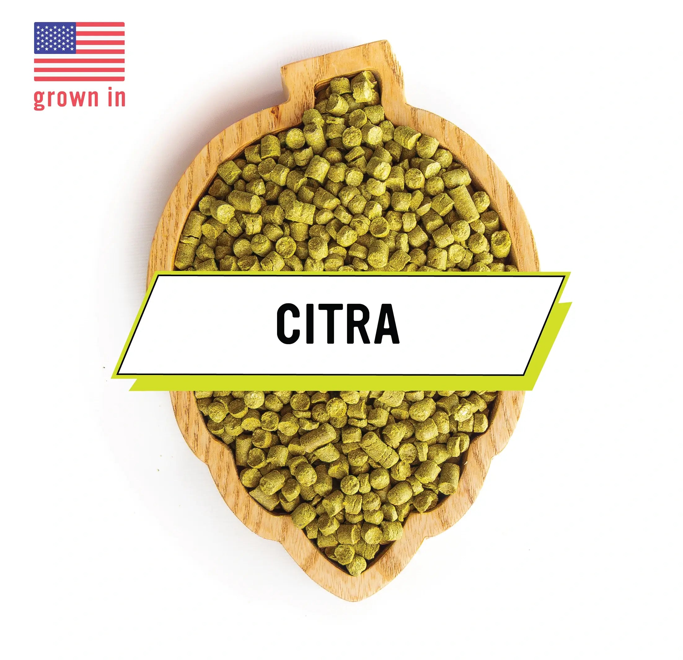 Citra Hops for Home Brewing | 1oz Fresh Pellets