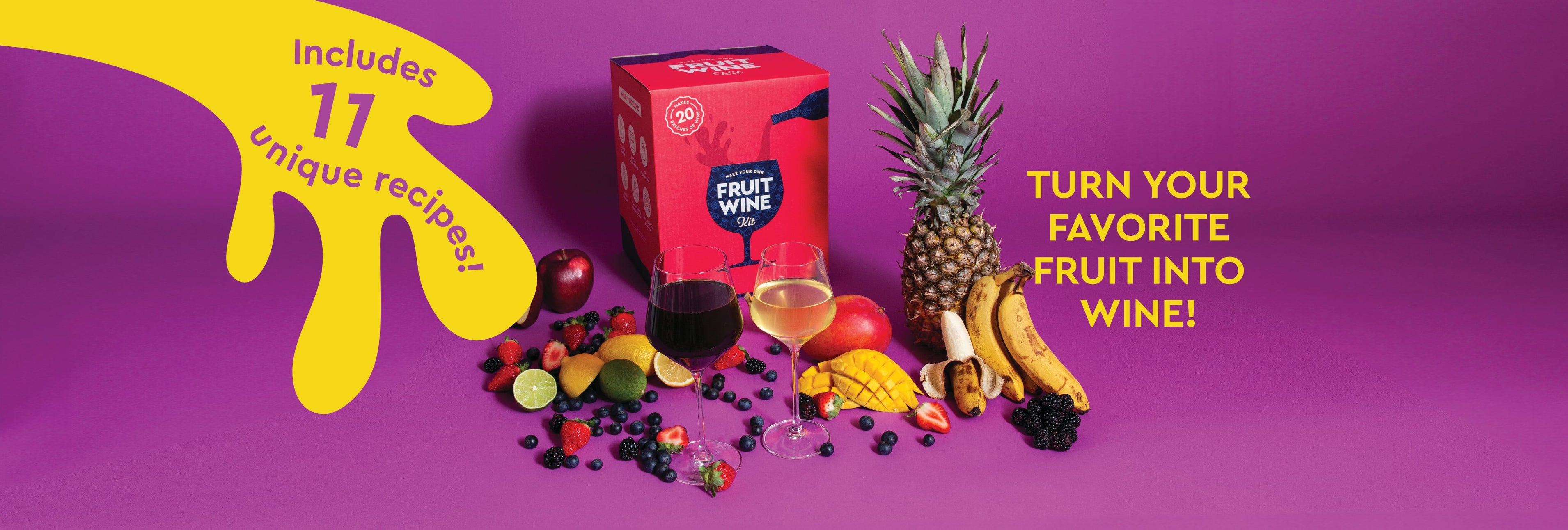 Fruit Wine Making Kit