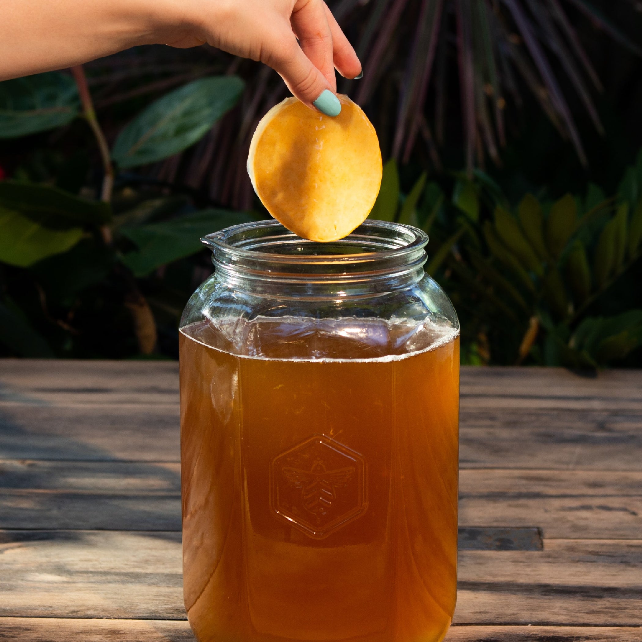 Kombucha Kit - Brew Kombucha at Home | Craft a Brew